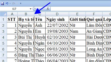 Sử Dụng Autofit Trong Excel để Tự động điều Chỉnh độ Rộng Cột Và Hàng