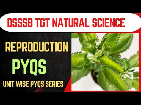 Reproduction PYQs Asked In DSSSB TGT NATURAL SCIENCE YouTube