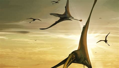 Encontraron En La Patagonia Restos De Uno De Los Reptiles Voladores