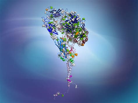 Filizola Laboratory Computer Aided Structural Biology And Drug Design