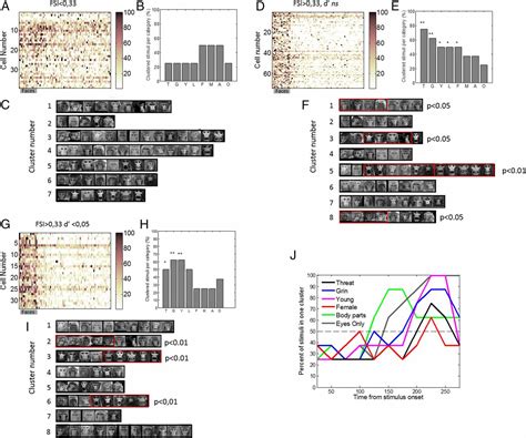 Face Cells In Orbitofrontal Cortex Represent Social Categories Pnas