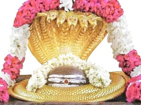 Maha Shivratri 2024 12 Jyotirlinga Of Lord Shiva Images And Place List