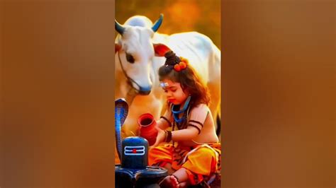 Jay Shiv Shankar Youtube