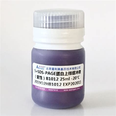 5×sds Page变性蛋白上样缓冲液 Loading Buffer B1012 厂家批发 产品关键词变性上样缓冲液sds普利莱