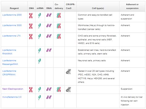 Transfection Reagents Integrated Gulf Biosystems