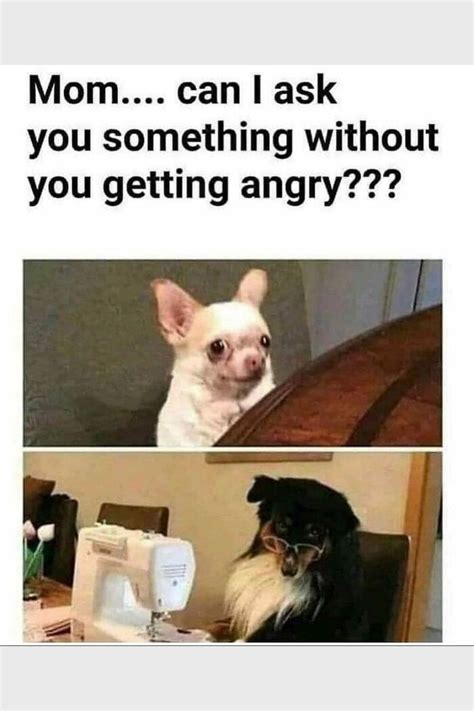50 Funny Memes To Help You Get Through The Work Day Artofit