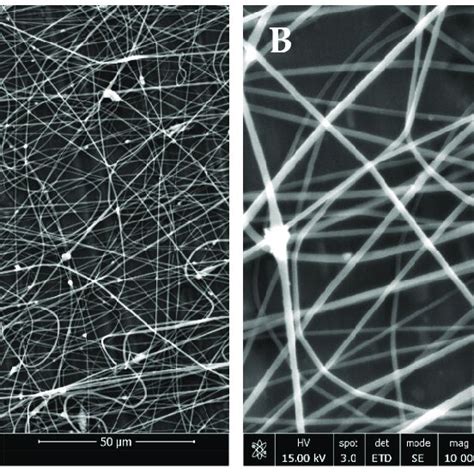 Fe Sem Micrographs Of The Electrospun Pvdf Nanofiber Mesh With
