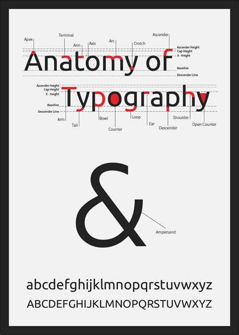 Anatomy Of Typography Posters