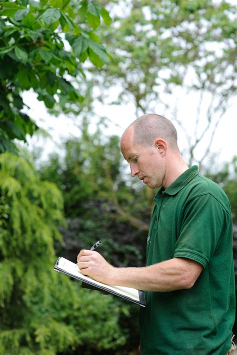 Health Checks Majestic Trees