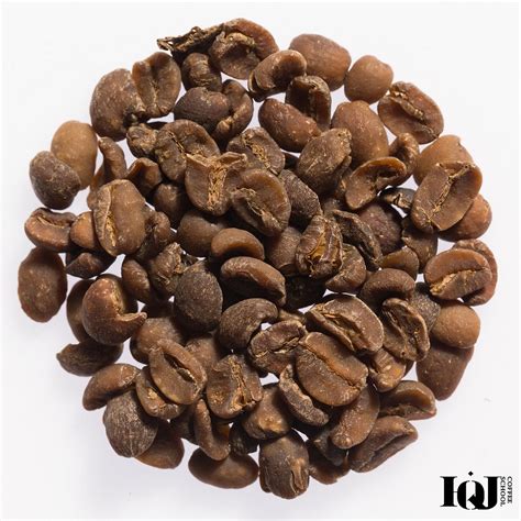 The Common Coffee Bean Defects Defects In Coffee 7 Common Defects