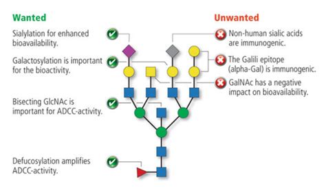 Omics Driven Optimisation Of Cqas In Industrial Cho Fed Batch