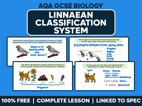 Gcse Aqa Biology Complete Lesson Linnaean Classification System Teaching Resources