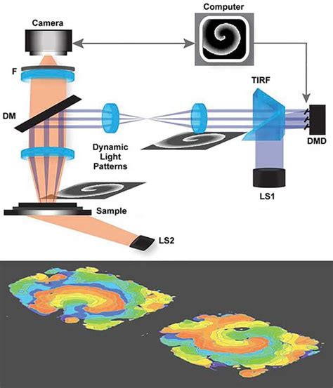 Cardiac Optogenetics Seeks To Fulfill Its Promise Features Sep 2017