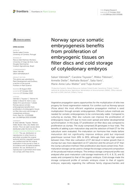 PDF Norway Spruce Somatic Embryogenesis Benefits From Proliferation
