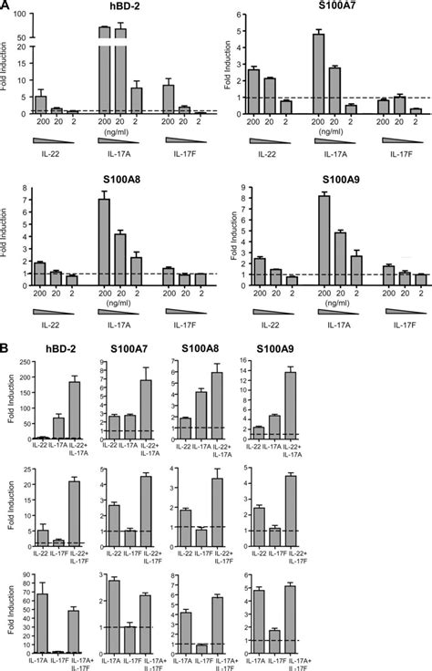Il 22 In Combination With Il 17a Or Il 17f Cooperatively Enhances The