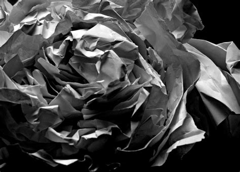 Paper Cabbage 2 By Cthorby On Deviantart
