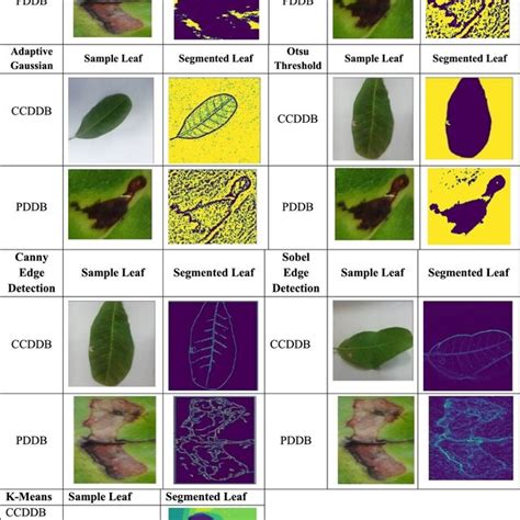 Shows Sample Input And The Segmented Leaf Of Different Segmentation Download Scientific Diagram