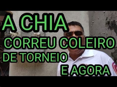 Como Acertar Um Coleiro E Papa Capim Corrido Por Uma Chia Porque Ele