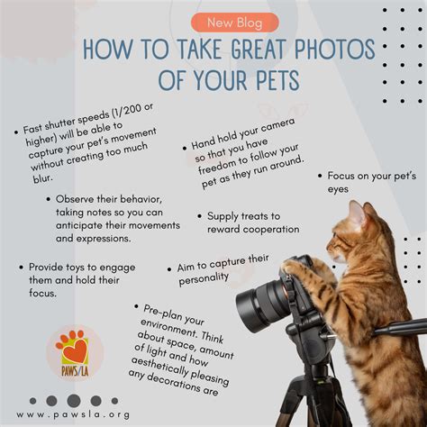 How To Take Good Pictures With Tripod Expert Tips Camera Recaps