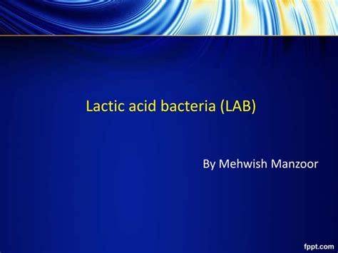 Lactic Acid Bacteria Lab Ppt