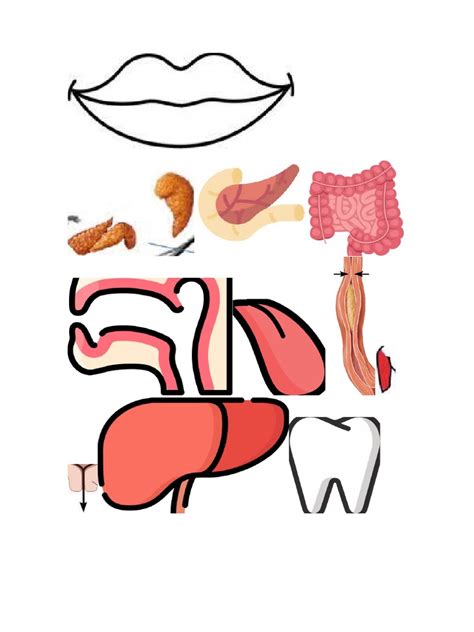 S D Pdf