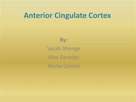 PPT Anterior Cingulate Cortex PowerPoint Presentation Free Download ID 2856086