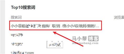给百度统计代码加密，解决百度统计搜素关键词被刷广告！ 马小帮