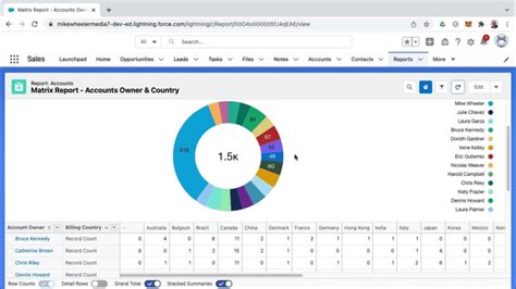 Matrix Reports In Salesforce A Comprehensive Guide