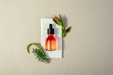 자연 화장품 개념 스킨 뷰티 헬스케어 컨셉 바이오 유기농 세럼 제품 0명에 대한 스톡 사진 및 기타 이미지 0명 개념 건강관리와 의술 Istock