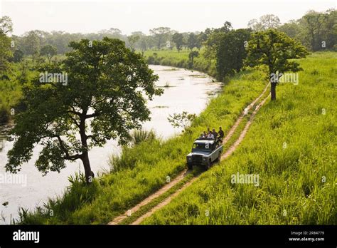 Tourists On A Wildlife Safari Ride In The Back Of A Jeep Down A Dirt