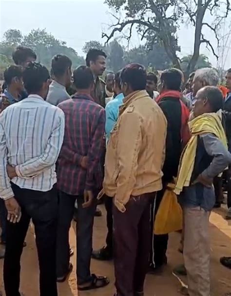 Umaria News पतौर रेंज के बकेली गांव के निकट जंगल में दिखा बाघ Tiger