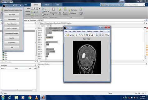 Window With Displayed Acquired Input Image Download Scientific Diagram