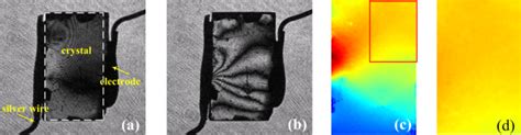 Holographic Interferograms Under Different Electric Field Applied At