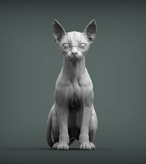 Stl File Sphinx Cat 3d Print Model 🐱・3d Printer Model To Download・cults
