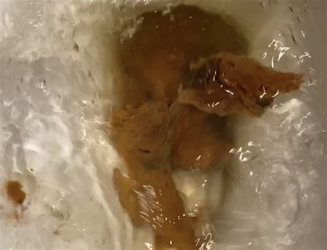 Flushing Compilation Loads Thisvid