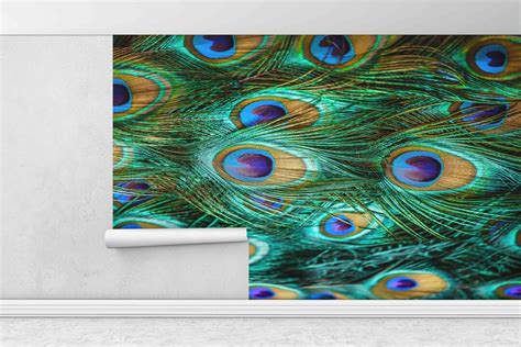 Peacock Paper Craft Decals For Walls Colorful Peacock Feather Paper