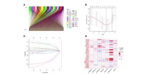 Screening Prognostic Lncrna Tags A Co Expression Analysis Of 23