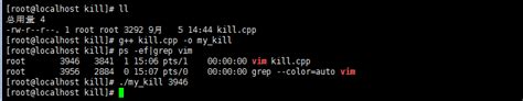 Linux Kill命令原理及源码实现kill杀死进程的逻辑 Csdn博客