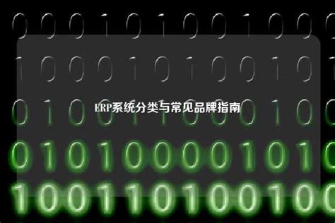 Erp系统分类与常见品牌指南 鲸选erp