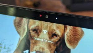 8 Ways To Stop Windows 11 From Spying On You