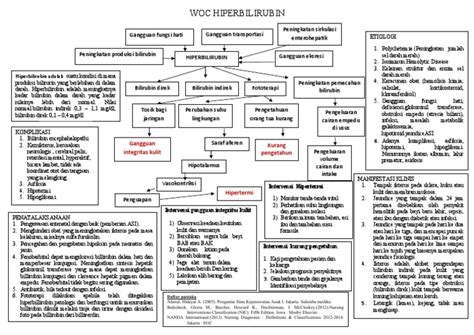 Woc Hiperbilirubin Kelompok 4 Pdf