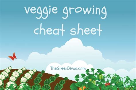 A Vegetable Growing Cheat Sheet Infographic The Green Divas