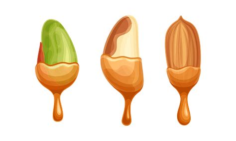 물방울 초콜릿 또는 카라멜 녹는 액체 벡터 세트가있는 식용 씨앗으로서의 너트 껍질 벗긴에 대한 스톡 벡터 아트 및 기타 이미지