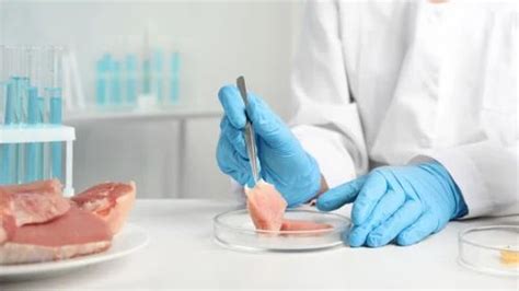 Chicken Microbiology Testing Laboratory Service In Navi Mumbai