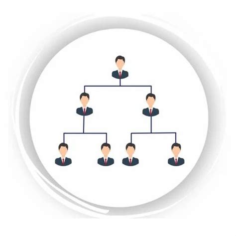 Binary Plan Mlm Software At Rs 35000 Mlm Software In New Delhi Id