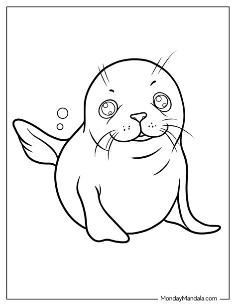 20 Seal Coloring Pages Free Pdf Printables