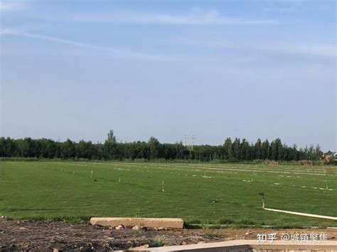 山东齐河县：200多亩耕地被种植草皮 耕地“非农化”亟需遏制 知乎