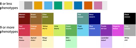Phylogeny Pantools Documentation