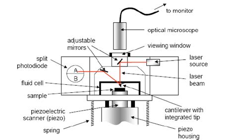 Schematic Diagram Of The Main Features Of A Veeco Instruments Multimode
