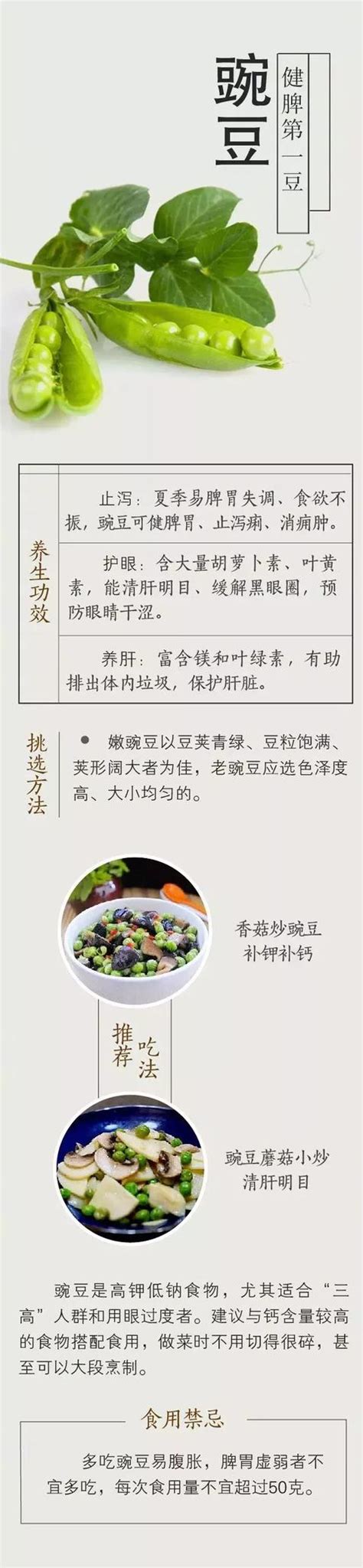 夏吃豆，勝吃肉！6種豆跟夏天是絕配→ 每日頭條